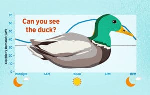 Saving energy and the Duck Curve