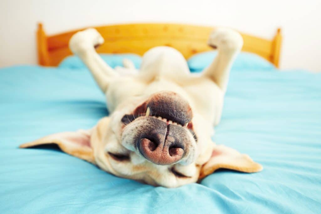 Don’t Forget One of the Most important Reasons You Need Air ...