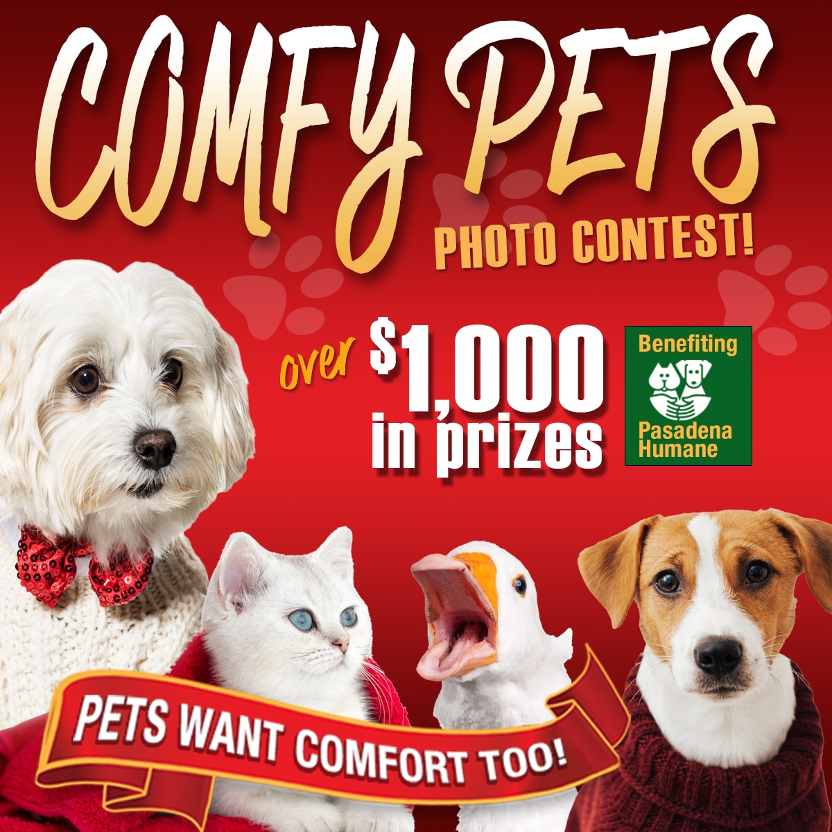 Air-Tro's "Comfy Pets" Photo Contest Benefits Pasadena Humane