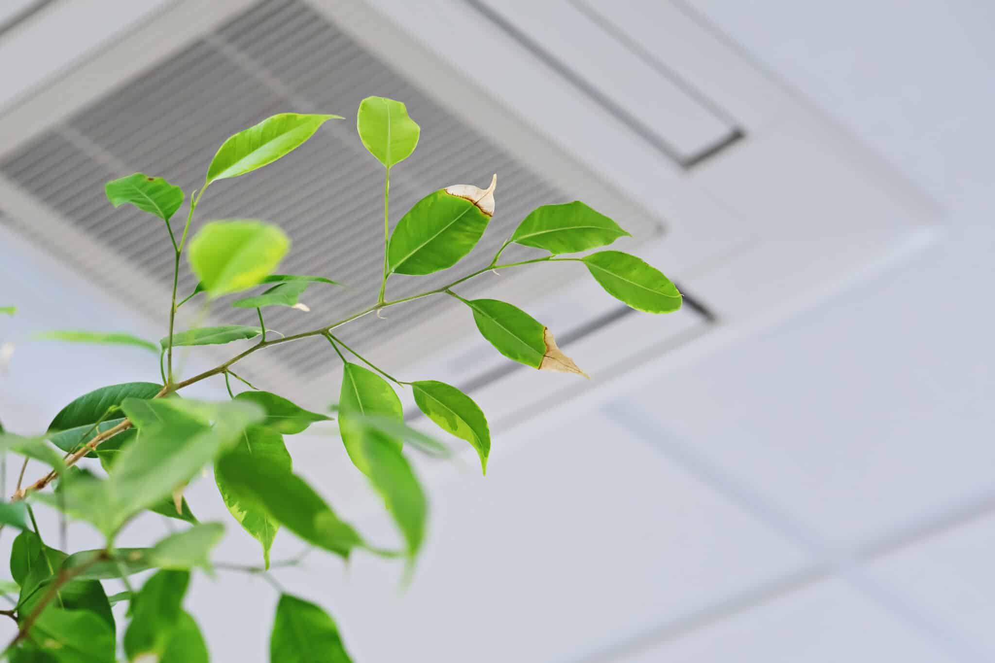 How to Choose the Right Air Filter for your HVAC System